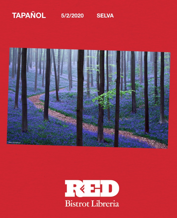 TAPAÑOL 5-2-20 SELVA – Microrrelatos del tapañol